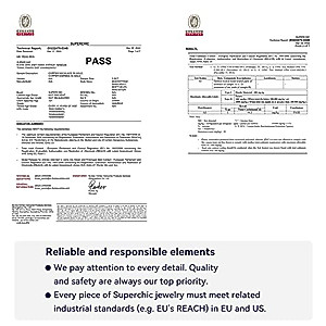 superchic Cute Red and Black Ladybug Beetle Pendant Necklace with Cubic Zirconia Floating Crystals for Women/Girl (Silver Plating)