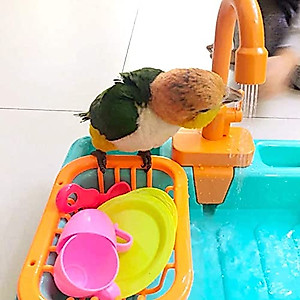 Yoruii Parrot Bath Tub Automatic Bath Tub with Faucet Automatic Bath Box Multifunctional New Bird Bath Tub Bird Shower Bath Feeder Bird Supplies Small Parrot Canary Blue Can be used as children's toys