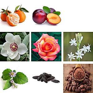 RACHEL ZOE Warrior Gift Set - Designer Women Perfume, Body Spray for Women - Fruity Eau de Parfum Sprays - Ideal Perfume Gift Set for Women - 3 pc