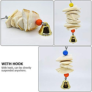 TEHAUX Cuttlebone Toys for Birds- 2 Pack Parrot Toys Chewing Bird Toy Cuttlebone Beak Grinding Cage Hanging Bell Toys for African Greys Amazon Conure Eclectus Budgies Parakeet Cockatiel, 2 Pack