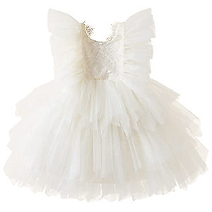 TTYAOVO Baby Girl Dresses Flower Birthday Party Tulle Princess Gown Size 80(6-12 Months, 61 Beige)