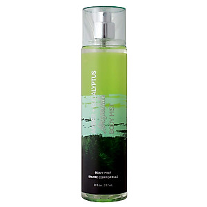 Aeropostale Adventure Collection, Amber and Eucalyptus, 8 Fluid Ounce