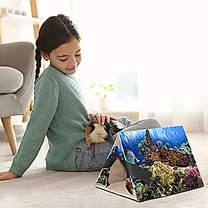 Turtle Underwater Sea, Guinea Pig Bed Washable Small Animal Hideout, Hamster Cage Accessories for Gerbils Chipmunks Squirrels Hedgehogs Guinea Pigs