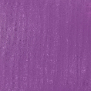 Liquitex BASICS Acrylic Paint, 400ml (13.5-oz) Bottle, Brilliant Purple