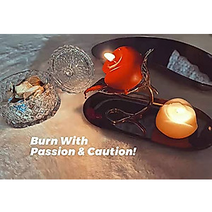 Zestler Bundles Candle Holder Set with 2 Rose Candles in White and red Plus a Stainless Steel Wax Removal Blade