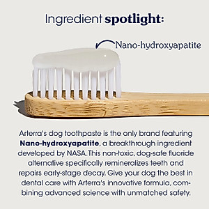 Remineralizing Dog Toothpaste – Vet-Grade, with Nano-Hydroxyapatite, Reverses Early-Stage Decay, Cleans Teeth, Reduces Tartar, Freshens Breath by Arterra Pet Science, Plant-Based, Natural Flavor, 4oz