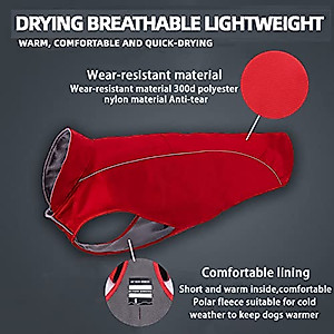 FamilyQL Dog Coat Water-Resistant Windproof with Reflective Trim Dog Jacket Warm Fleece Lined Anti-Tear Adjustable Outdoor Dog Clothes for Small Medium Large and Extra Large Dogs (Grey, Medium)