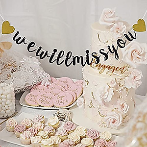 Glitter We Will Miss You Bunting Banner for Valentine's Day Going Away Party Goodbye Retirement Party Decorations-Graduation Party Farewell Party Decorations Supplies