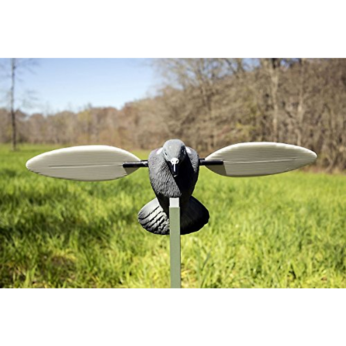 MOJO Outdoors Pigeon Decoy, Small 51-55cm,Multi,One Size,HW2410