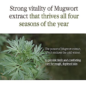 yunkang Yul Black Tea Enriched Cream, Korean Anti-Aging Face Cream Moisturizer for Women, Wrinkle Care, Skin Brightening with Peptide and Adenosine 60ml