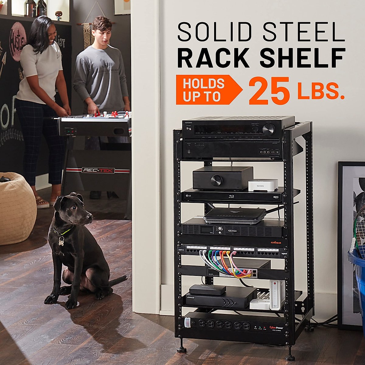 ECHOGEAR 1U Rack Shelf - Universal Design Works with Any Rack - Holds 25lbs of Servers, Network Gear, or AV Equipment - 12" Deep Steel Shelf with Ventilated Design - Install Hardware Included