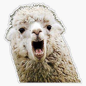 Llama Vinyl Waterproof Sticker Decal Car Laptop Wall Window Bumper Sticker 5"