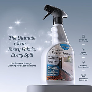 ForceField - Fabric Cleaner - Remove, Protect, and Deep Clean - 22oz (2 Pack (22oz))