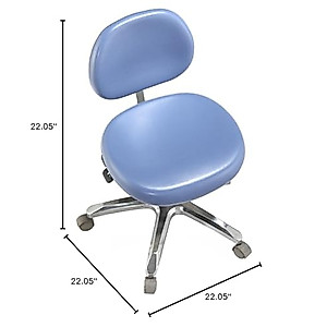 HYDTGZ Adjustable Dental Doctor's Chair Dentist Stools PU Leather with Backrest Seat Dentist Chair for Clinic, Dental, Shop, Lab Chair,Green