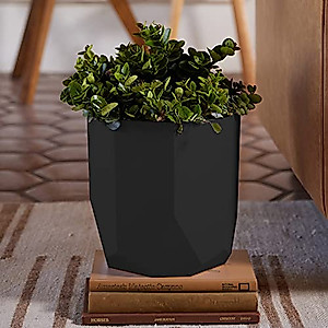 Bloem Tuxton Modern Hexagon Small Planter: 10" - Black - Matte Finish, Durable Resin, Modern Design, Optional Drainage Holes, for Indoor and Outdoor Use, Gardening, 2.7 Gallon Capacity