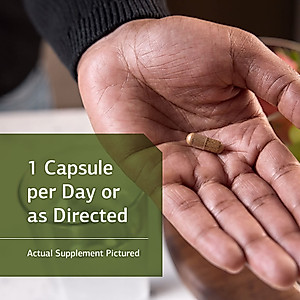 Standard Process Inc. Ginkgo Synergy - Whole Food Mental Clarity, Brain Health Supplement, Brain Support and Blood Flow with Grapeseed Extract, Buckwheat, Gotu Kola, Ginkgo Biloba - 40 Capsules