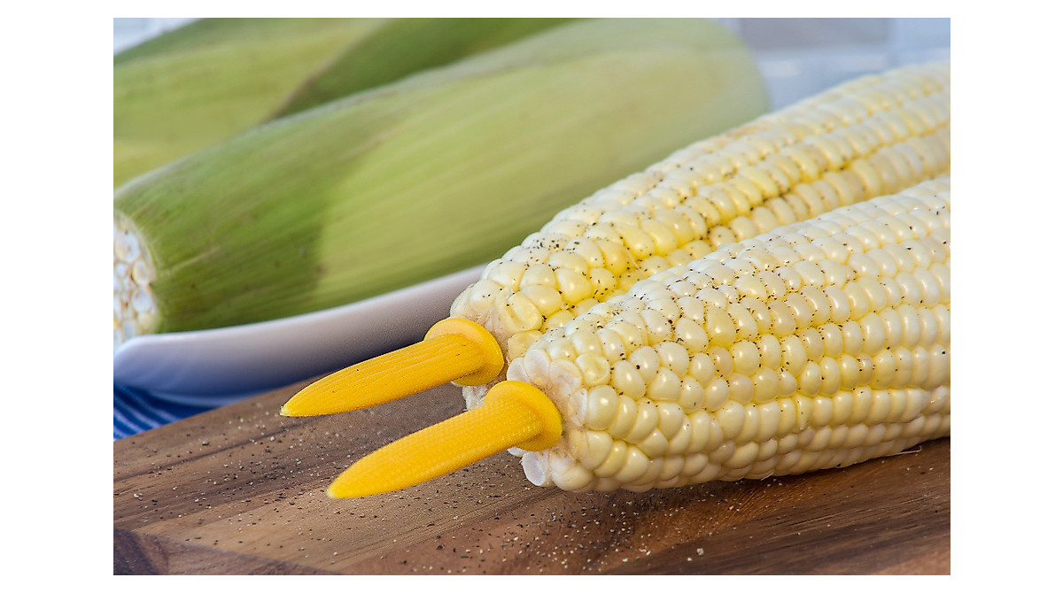 Fox Run Jumbo Corn Holders Set of 8 - Mess-Free Corn on the Cob