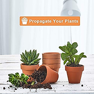 Riseuvo 32pcs Small Mini Clay Pots - 2'' Terracotta Pot Clay Ceramic Pottery Planter, Cactus Flower Terra Cotta Pots, Succulent Nursery Pots, with Drainage Hole, for Indoor/Outdoor Plants, Crafts