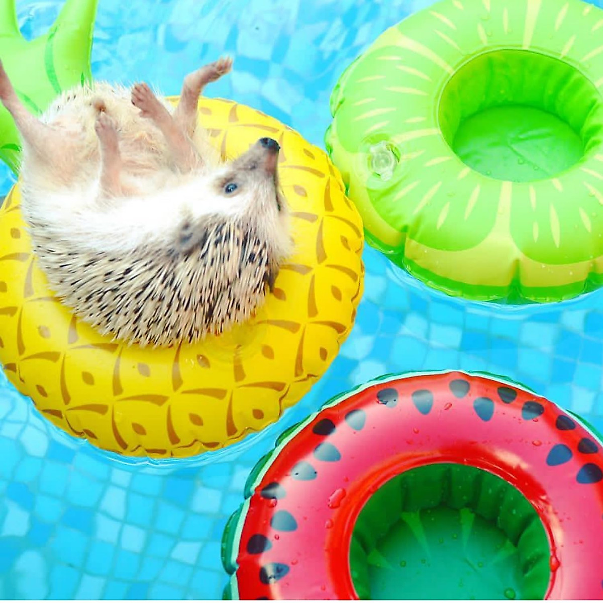 SEZDEKI 5 Pack Bearded Dragon Bathtub Toy - Small Animal Toy Inflatable Float for Hedgehog Lizard Ferret Tortoise Small Pets Accessories Photo Shoot Toy Pet Supplies (5 Pcs)