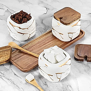 VETIN 3 Pcs Sugar Salt Container Set Containers for Sugar and Coffee Sugar Container Marble Jar Set Sugar Bowl Sugar Jar with Spoon and Lid