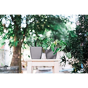 GARDENIX DECOR 5" Self Watering pots for Indoor Plants - Flower Pot with Water Level Indicator for Plants, Grow Tracking Tool - Self Watering Planter Plant Pot – 2 Pack Gray