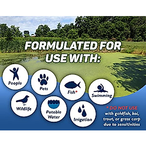 Crystal Blue Copper Sulfate Algaecide - Granular Aquatic Grade Copper Sulfate for Pond Algae Control - 5 Pounds