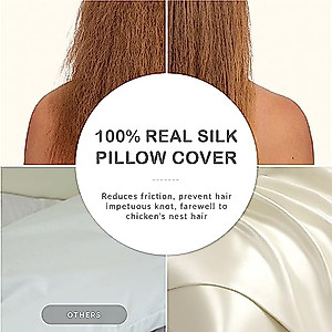 HYDE LANE 25 Momme 100% Pure Mulberry Silk Pillowcase for Hair and Skin with Hidden Zipper, Both Side Grade 6A Silk, Luxury Smooth and Soft,Real Silk Pillow Case, 1pc Queen 20''x30'',Ivory White