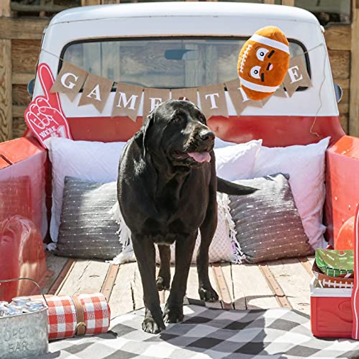 Fringe Studio Plush Dog Toy, I Wanna Be A Baller, Pet Shop Collection (289885)