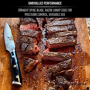 Zelite Infinity Japanese Paring Knife 4 Inch, Paring Knives, Fruit Knife, Pairing Knife, Small Knife - Japanese AUS-10 Super Steel 67-Layer Damascus Knife - Razor Sharp Knife - Superb Edge Retention