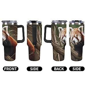 FJWKLRBV Red Panda on Tree Branch 40 Oz Water Bottle, Stainless Steel Tumbler with Handle And Straw, Extra Large Insulated Tumbler, Flip Straw Tumblers for Sports, Work, Car, Travel And Weekends