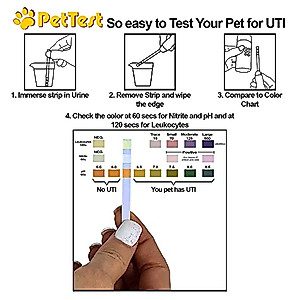 UTI Test Strips for Dogs & Cats detect a Urinary Tract Infection in Your Pet. Use PetTest Cat & Dog UTI Test Strips at Home for an Easy Urine Test. UTI Test for Cats & Dogs Help Manage pet Health.
