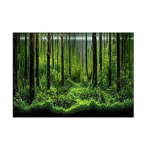 PVC Fish Tank Background Adhesive Underwater Forest Tank Background Poster Backdrop Decoration Paper (24.02x16.14in)