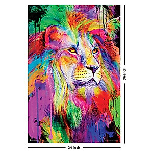 Rainbow King by Aimee Stewart - Non-Flocked Blacklight Poster 24" x 36"