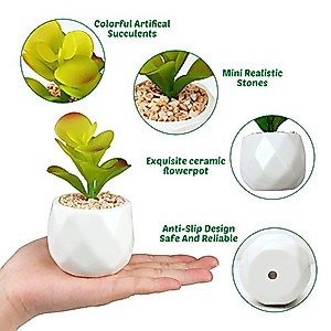 Mocoosy 4 Pack Mini Artificial Succulent Plants in Pots, Fake Succulent Set with White Ceramic Planter Pots, Faux Succulents Plants Artificial Potted for Home Office Bedroom Decorations
