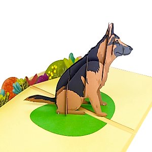 RIHDXCH German Shepherd Pop Up Card, German Shepherd Card With Envelop, Birthday Card From Dog, Thank You, Card For Mom, Dad, Husband, German Shepherd Gifts.Cancer Support Thank You Cards