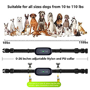 NVK Dog Training Collar, Single Collar Without Remote, Rechargeable Dog Training Collar with 3 Modes, Beep, Vibration and Shock, Waterproof Collar