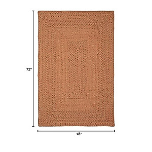 SAFAVIEH Braided Collection 4' x 6' Multi BRD166A Handmade Country Cottage Reversible Cotton Area Rug