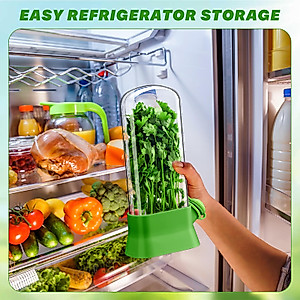 Baderke 2 Pieces Herb Saver for Refrigerator Herb Keeper Herb Storage Containers Herb Saver Pod for Cilantro, Parsley, Asparagus, Keeps Vegetables for 2-3 Weeks (Green)