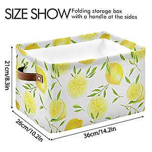 xigua Fresh Lemons Pattern Square Storage Basket,Collapsible Sturdy Fabric Storage Basket Cube W/Handles for Clothes Toy Closet(1 pcs)