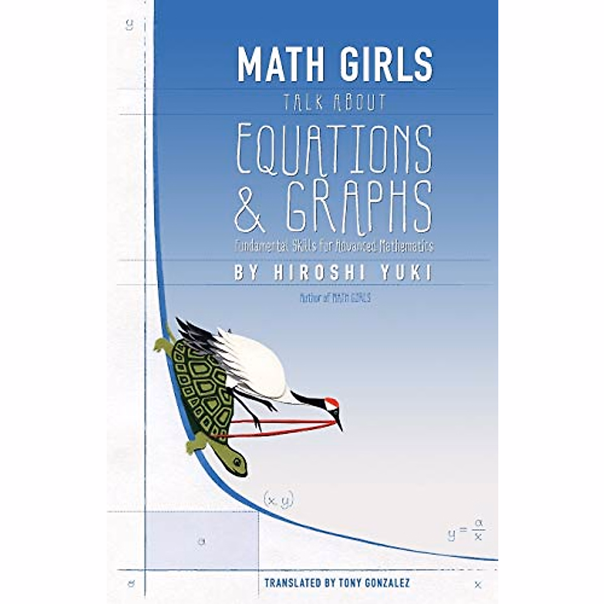 Math Girls Talk About Equations & Graphs