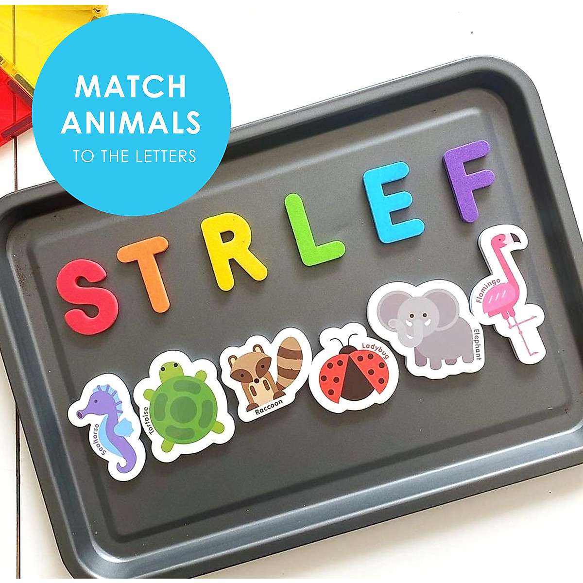 Curious Columbus Animal Magnets - 52 Toddler Magnets For Refrigerator - Fridge Magnets For Toddlers Play with Magnetic Letters - ABC Kid Magnet for Alphabet Learning - Kids Foam Animals A-Z Activities