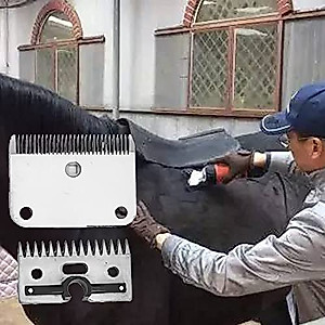 DUCKBOY Horse Clipper 380W Professional Heavy Duty Horse Grooming Kit Electric Animal Grooming Clipper Trimmer Remover for Horses, Equine, Cattle, Pony and Large Thick Coat Animals