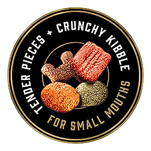 CESAR Small Breed Dry Dog Food Rotisserie Chicken Flavor with Spring Vegetables Garnish, 2.7 lb. Bag