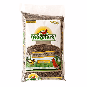 Wagner's 62028 Striped Sunflower Seed Wild Bird Food, 5-Pound Bag