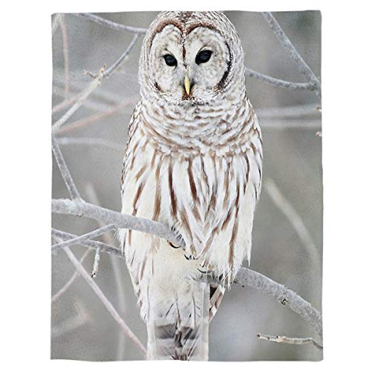 Greeeen Plush Fleece Throw Blanket | Fuzzy, Soft, Warm, Cozy, Reversible Blanket for Bed Couch Sofa Chair Travel- 49" x 59" Winter Owl