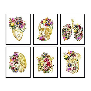 Human Anatomy Poster Set - Graduation Gift for Nurse Practitioner, Physicians Assistant, RN, Doctor Office, Medical Student - Vintage Gothic Decor, Chic Country Wall Art Decoration - 8X10 UNFRAMED Set