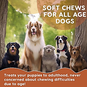 Probiotics for Dogs, Dog Probiotics for Digestive Health, Plus Pumpkin and Fish Oil, for Gut & Itchy, 102 Soft Chews