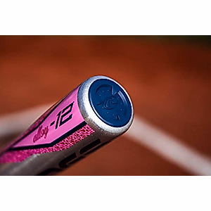 Rawlings | STORM T-Ball Bat | USA Softball & Baseball | -12 Drop | 24" | Silver/Pink