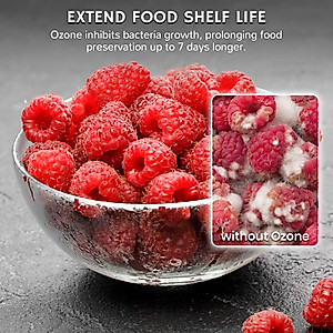 Airthereal PA300-GO Portable Ozone Generator - Cordless Battery Powered Odor Eliminator for Refrigerator, Car, Travelling, Shoe Cabinet, and Other Small Spaces, White 1-Pack