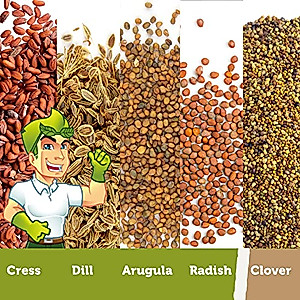 Todd’s Seeds - Country Delight Sprouting Seed Mix - One Pound - Sprouting Seeds for Microgreens - Clover, Cress, Arugula, Radish and Dill - Chemical Free - Non GMO